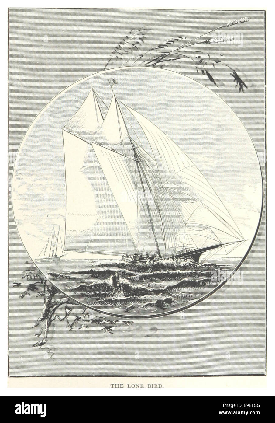 This artwork titled The Lone Bird features a solitary bird, symbolizing ...