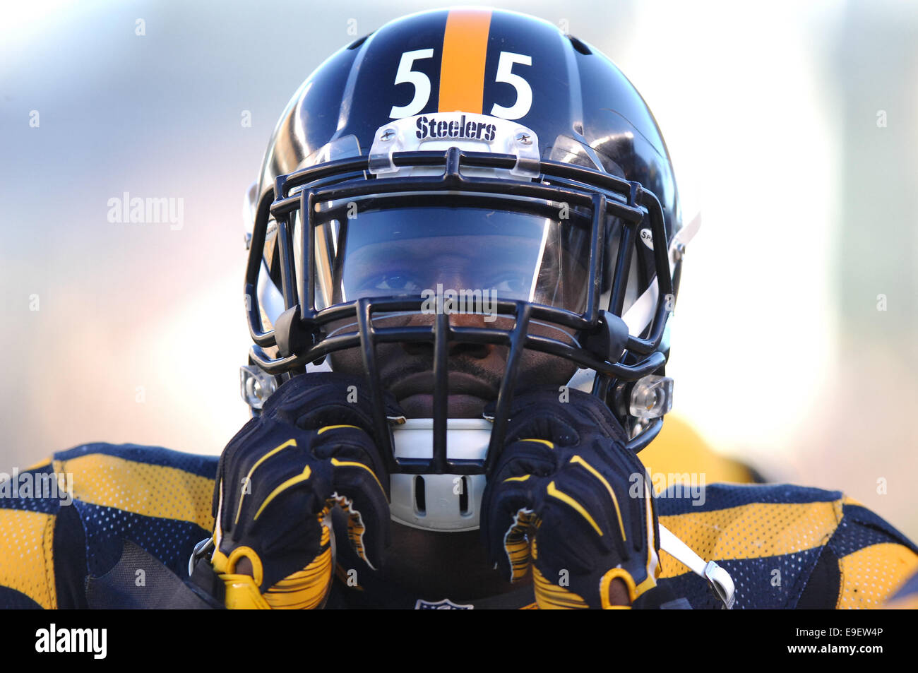 Pittsburgh, PA, USA. 26th Oct, 2014. Arthur Moats #55 during the ...