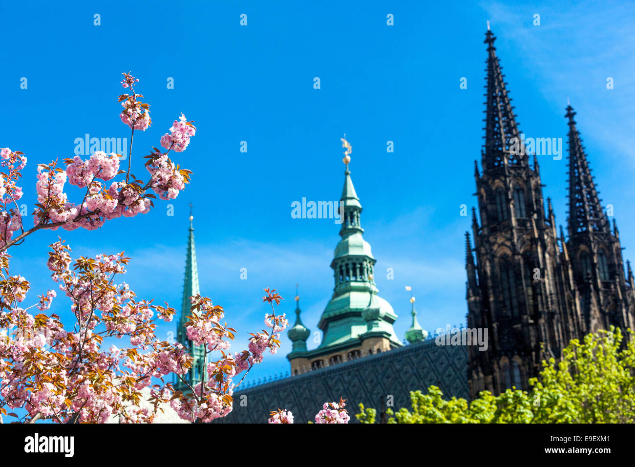 Prague castle flowers hi-res stock photography and images - Alamy