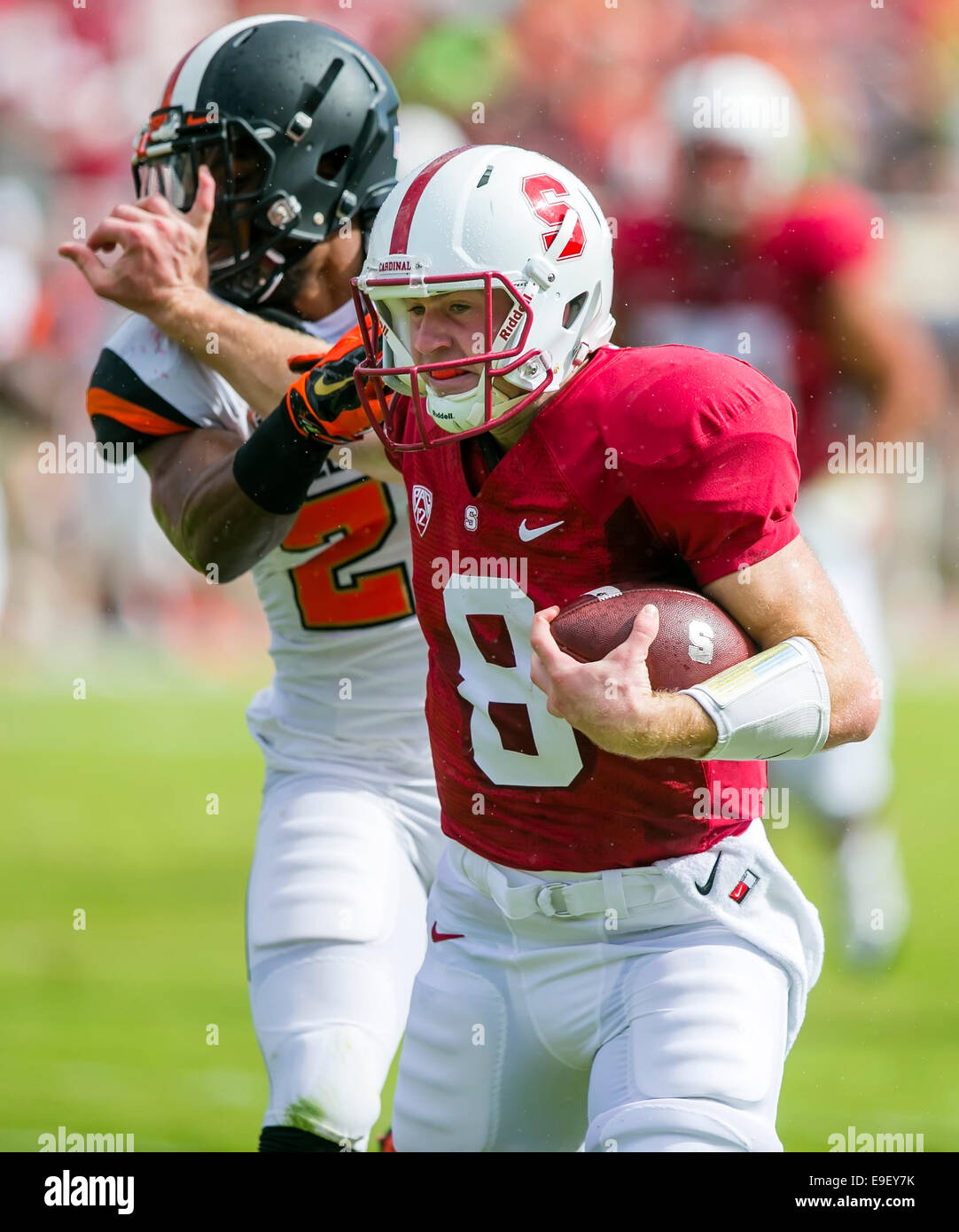October 25, 2014: Stanford Cardinal quarterback Kevin Hogan (8) in ...