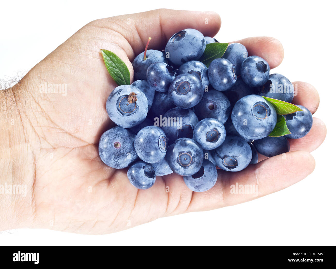 Blueberries in palm hand hi-res stock photography and images - Alamy