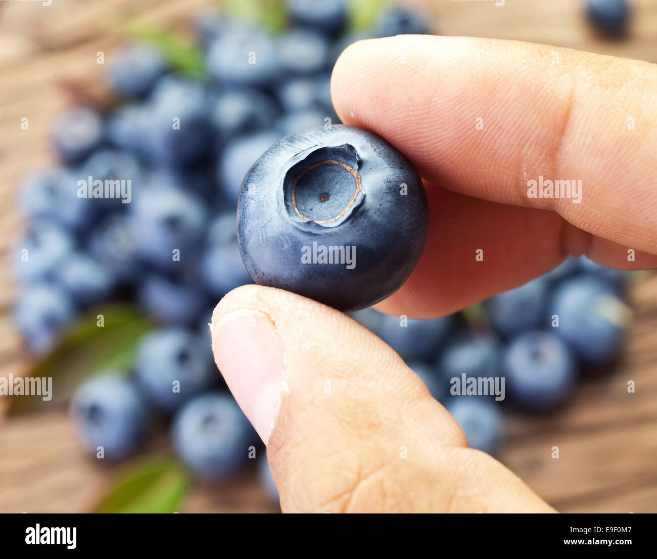 Group one hi-res stock photography and images - Alamy
