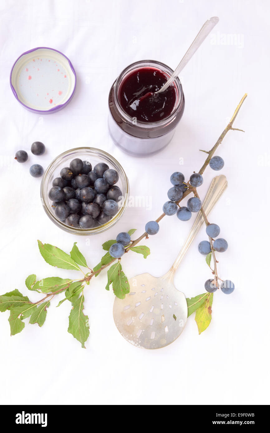 Sloe berries Cut Out Stock Images & Pictures - Alamy