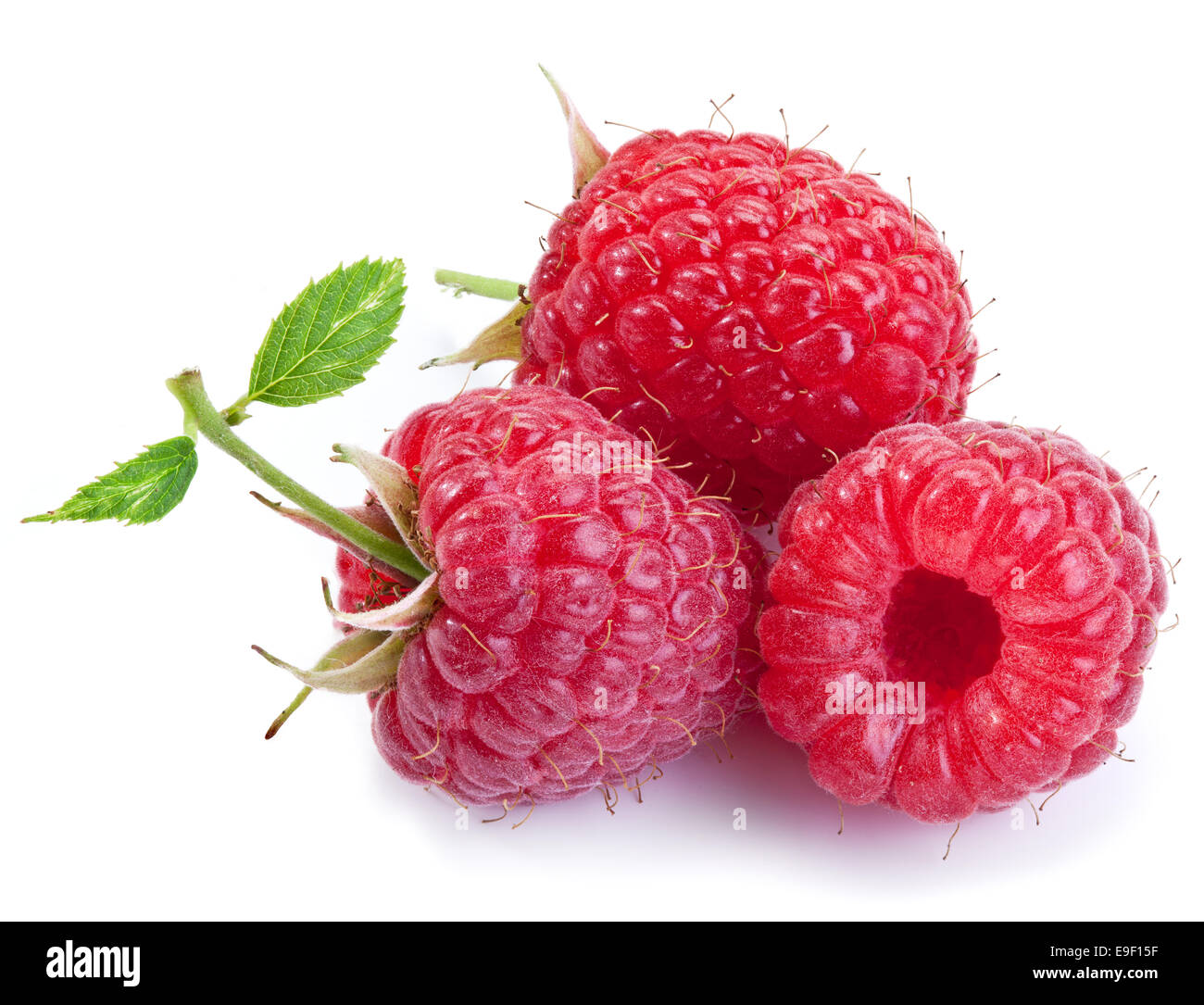 Three raspberries isolated on a white background Stock Photo - Alamy