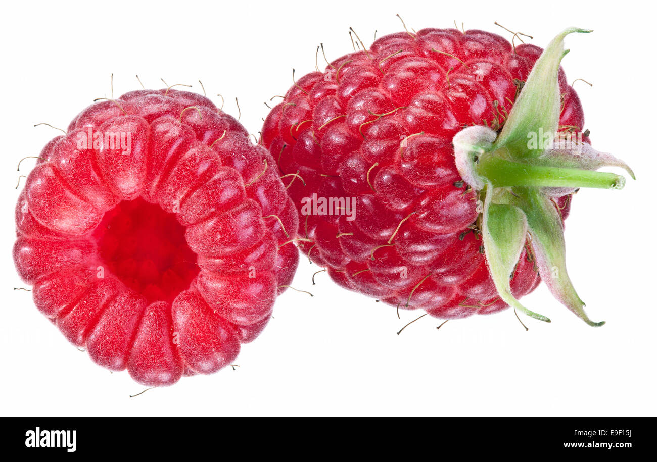 Two raspberries isolated on a white background Stock Photo - Alamy