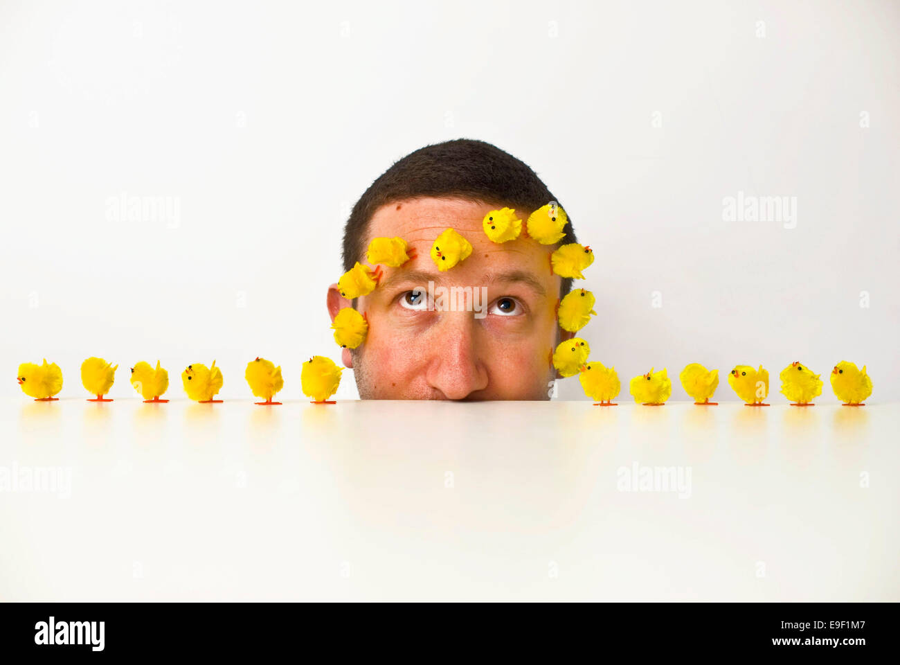 Male eggs chicken chicks hi-res stock photography and images - Alamy