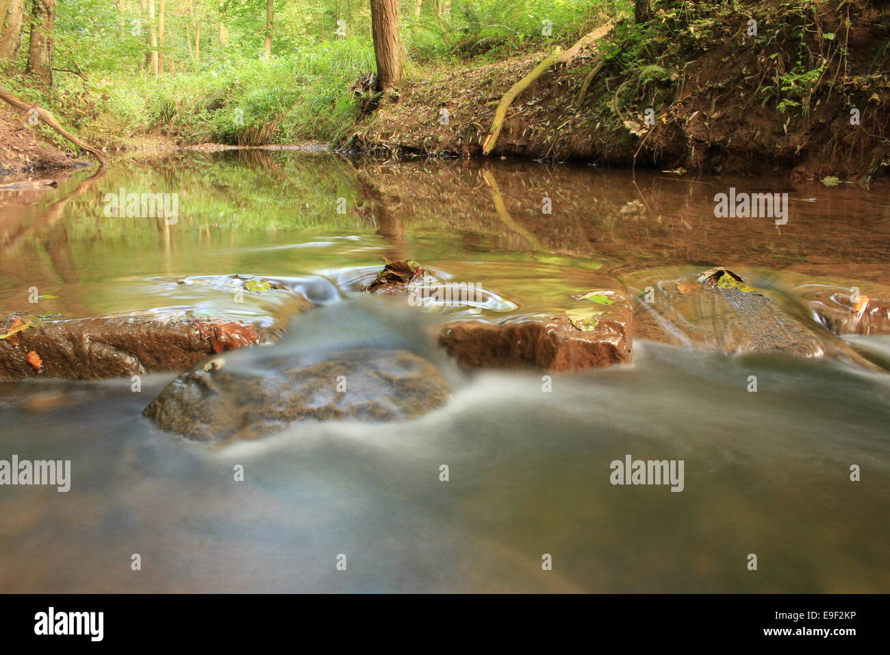 Tree branch in stream Stock Photo - Alamy
