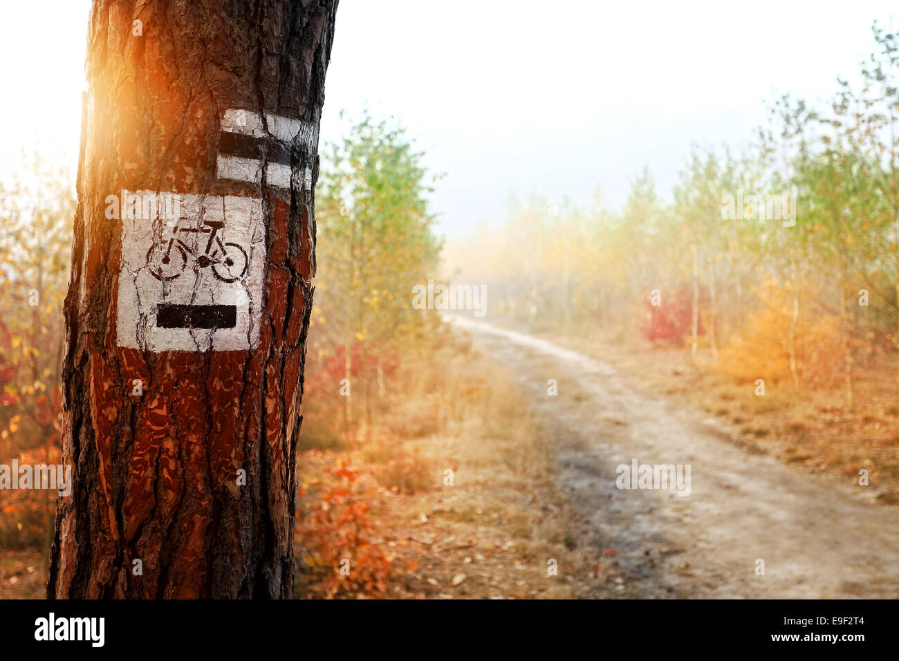 The bike path in a beautiful park Stock Photo - Alamy