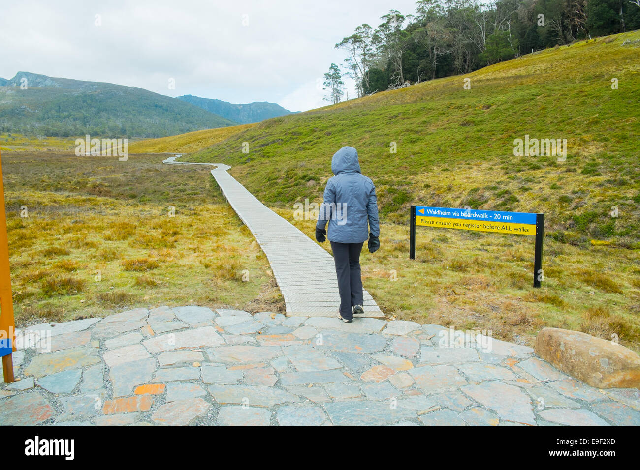 Female hiker at start of overland track at romney creek cradle mountain ...