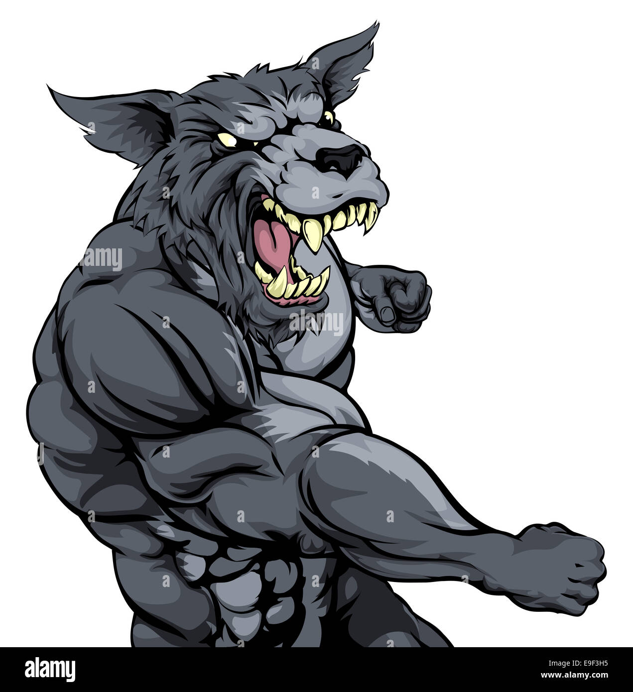 A tough muscular wolf character sports mascot attacking with a punch ...