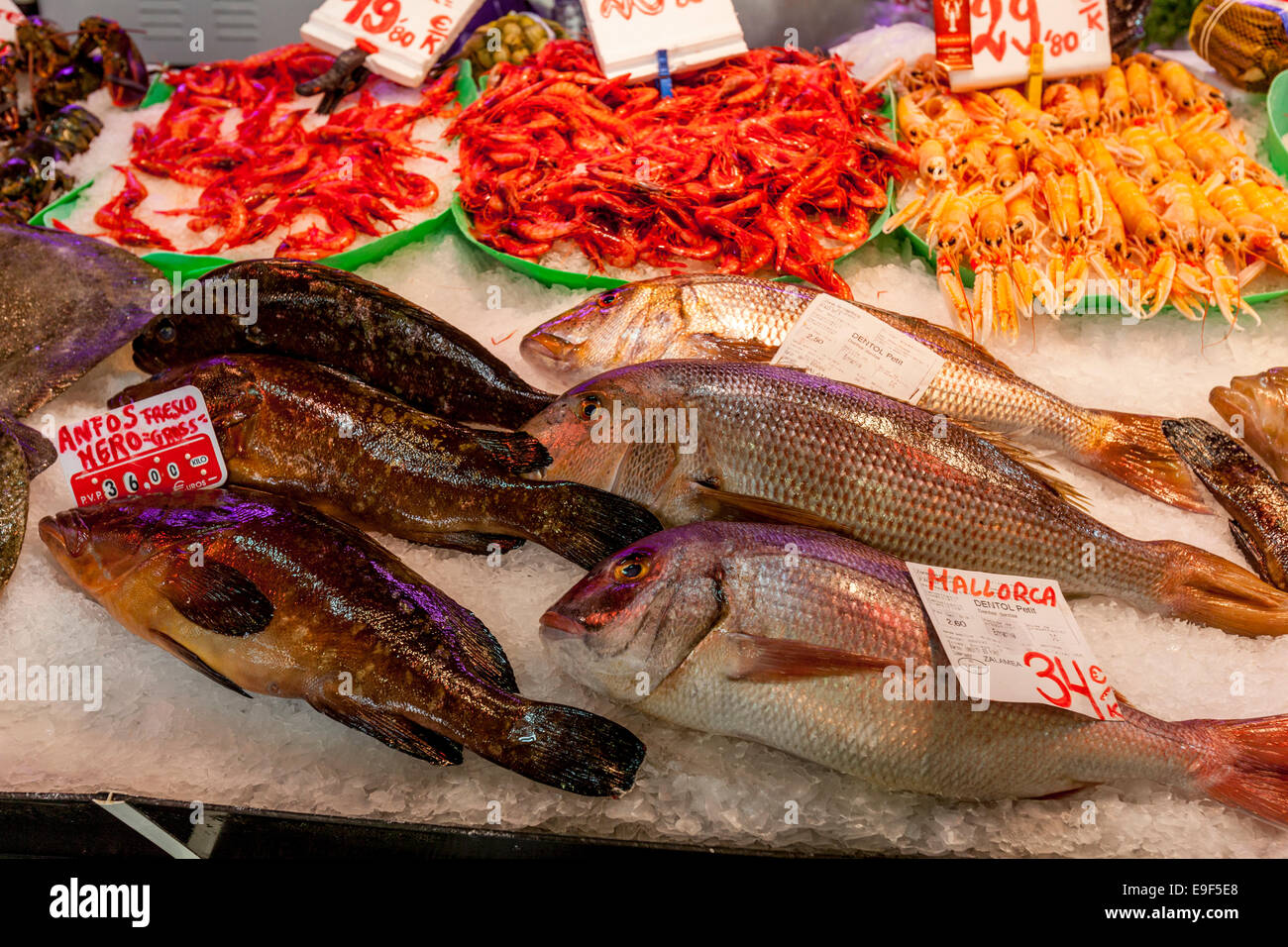 Isla de peces hi-res stock photography and images - Alamy