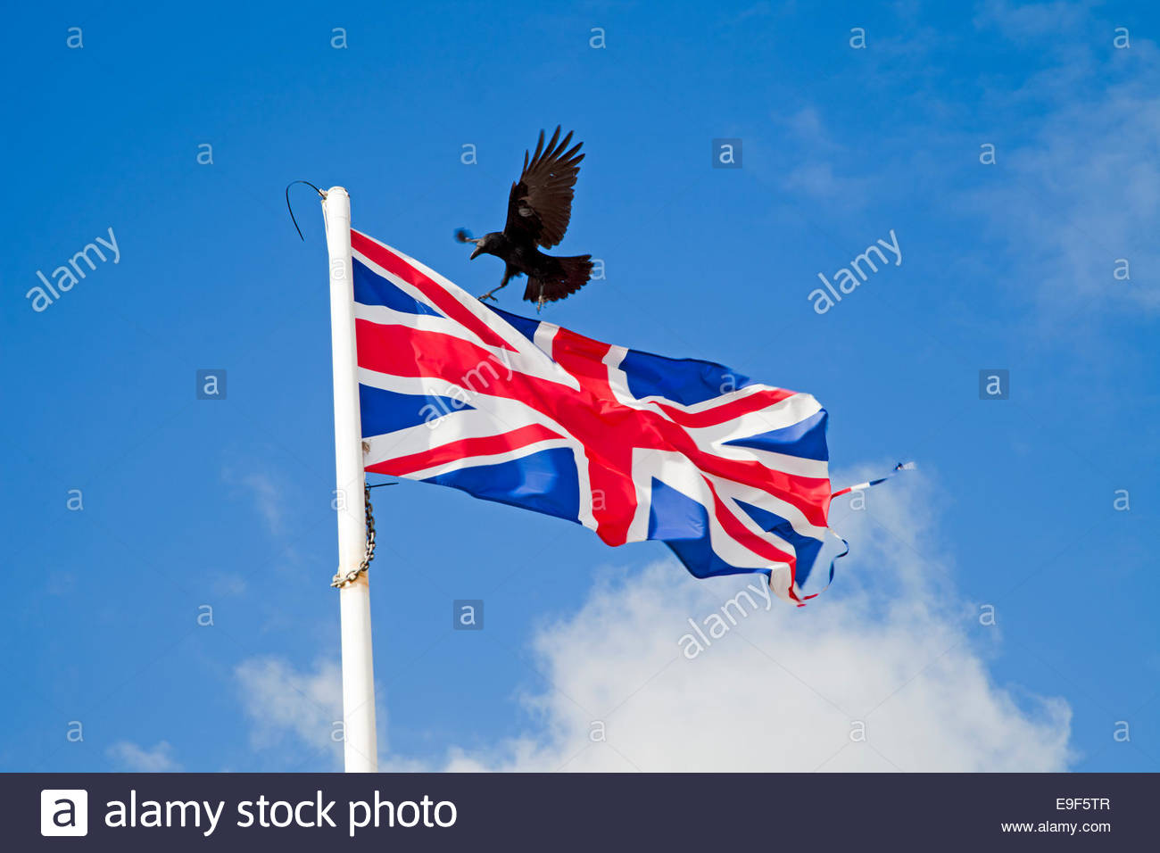 Crow Nation Stock Photos & Crow Nation Stock Images - Alamy