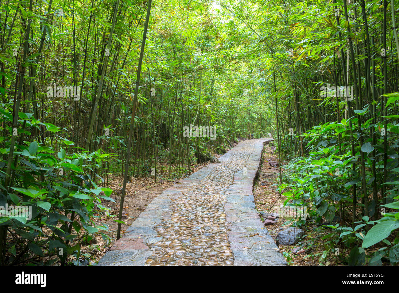 Libo county guizhou china High Resolution Stock Photography and Images ...