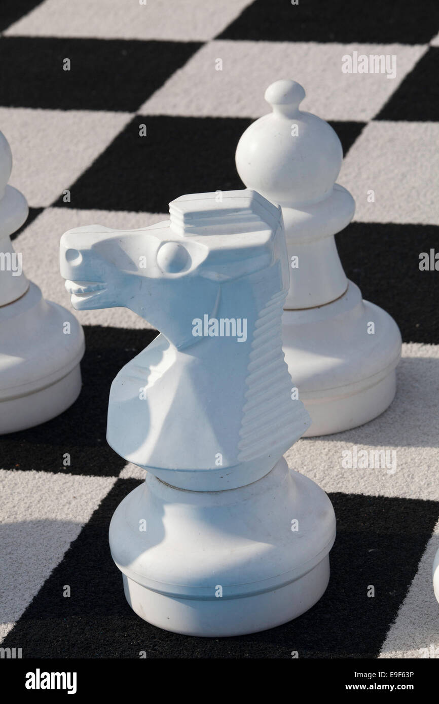 White chess knight hi-res stock photography and images - Alamy