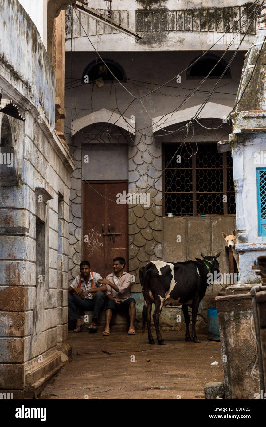 Narrow street in varanasi hi-res stock photography and images - Alamy