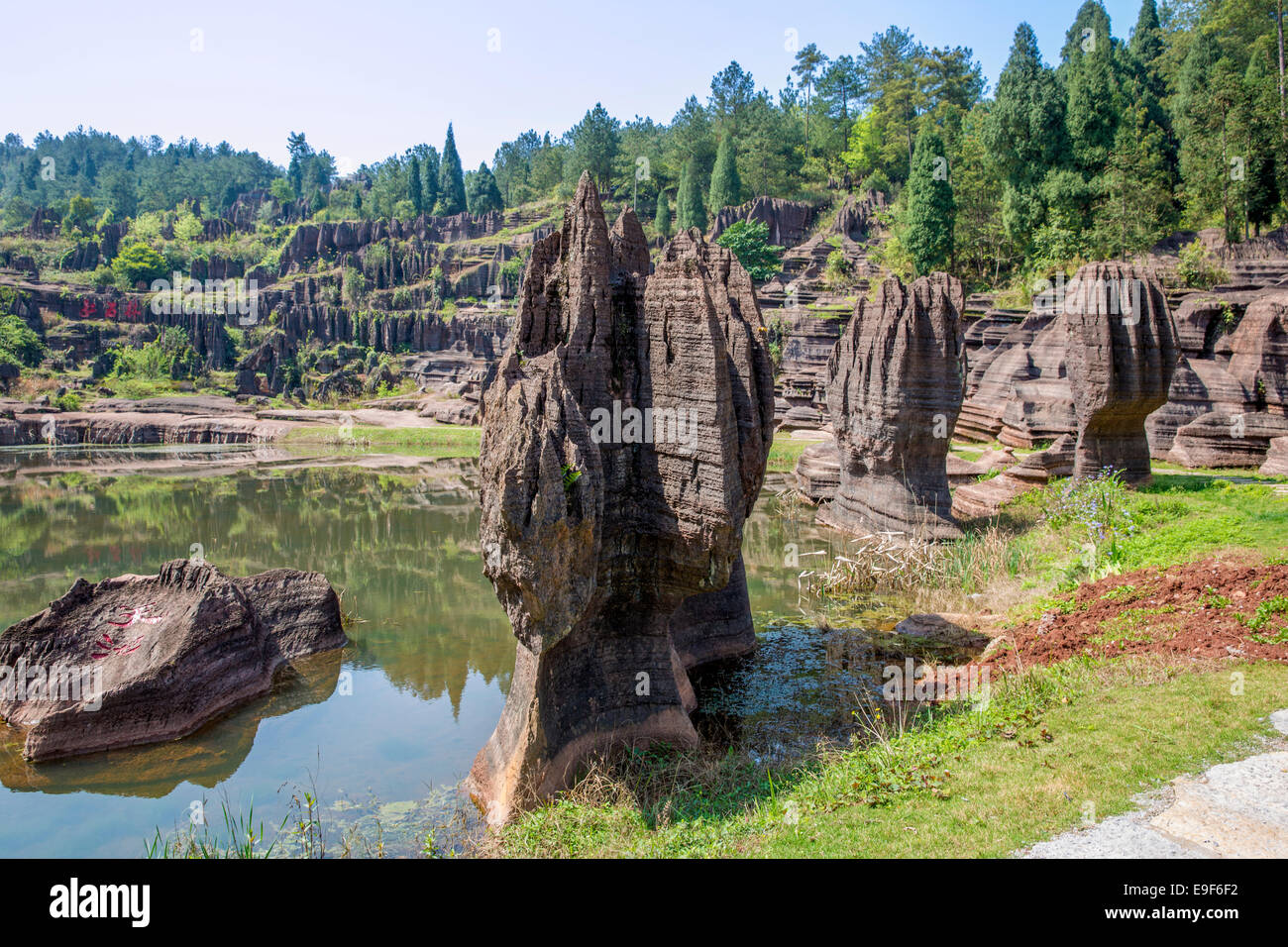 Redstone national forest park hi-res stock photography and images - Alamy