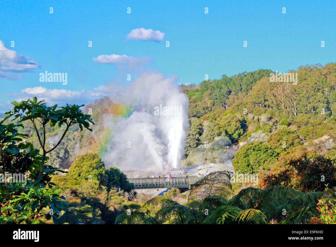 Rotorua, New Zealand geothermal area Stock Photo - Alamy