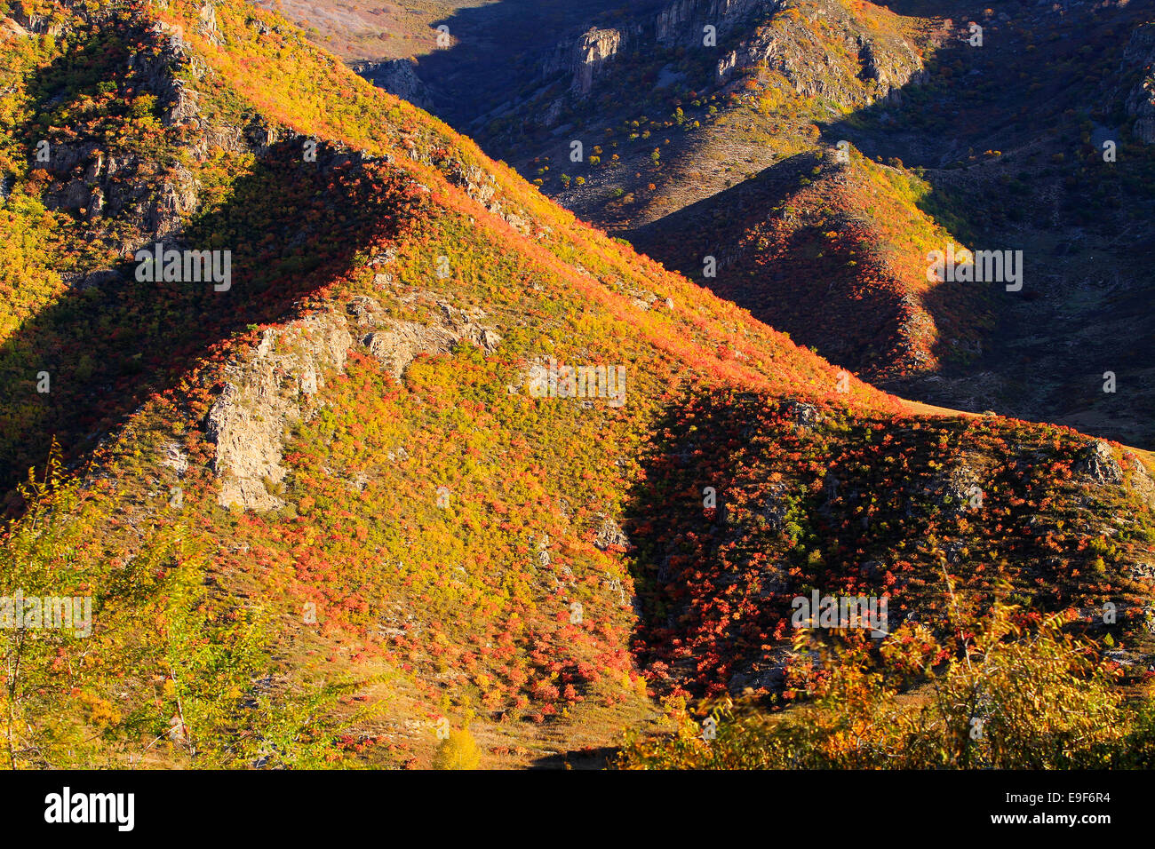 Fengning High Resolution Stock Photography and Images - Alamy