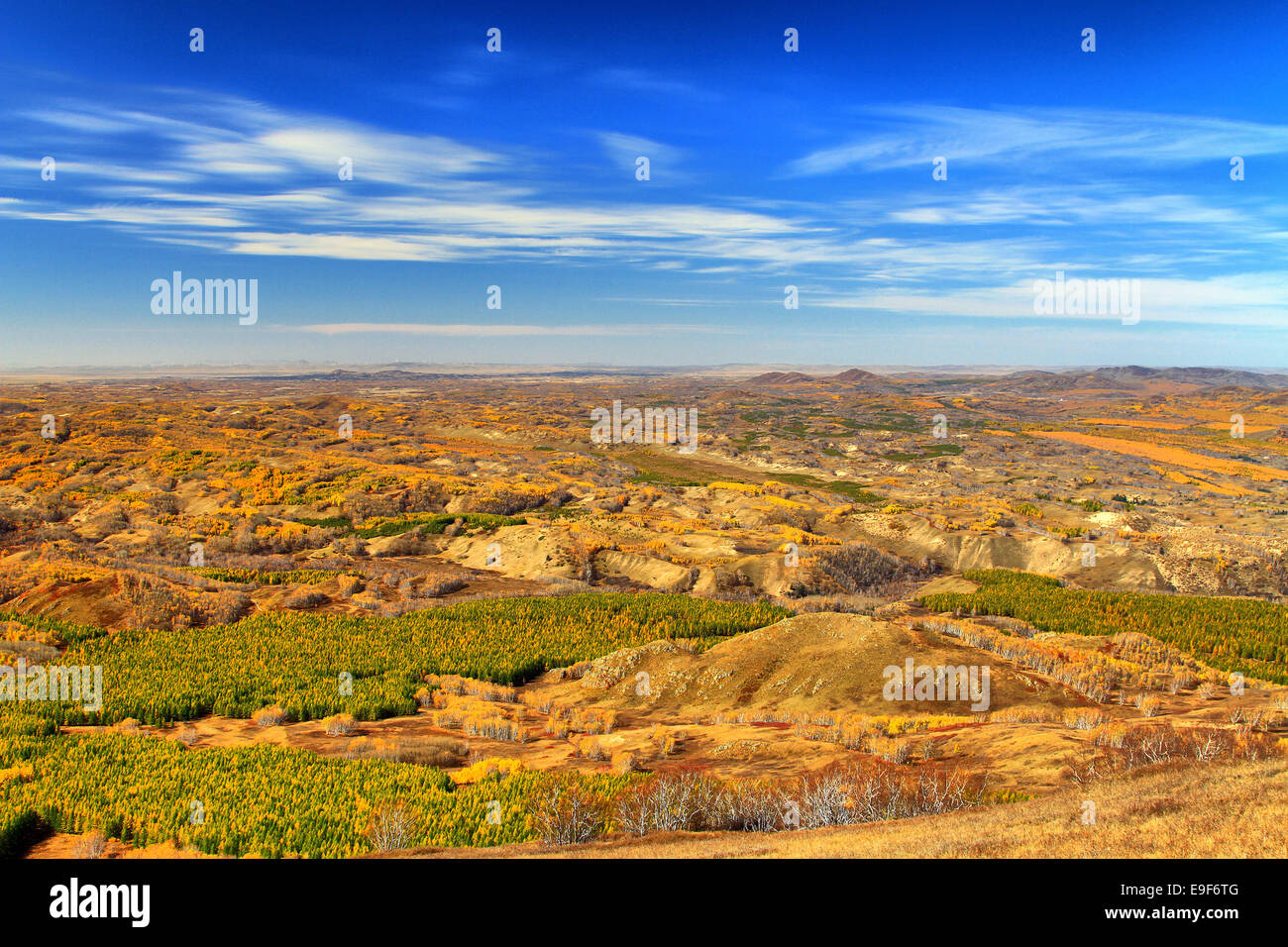 China tree planting inner mongolia hi-res stock photography and images ...