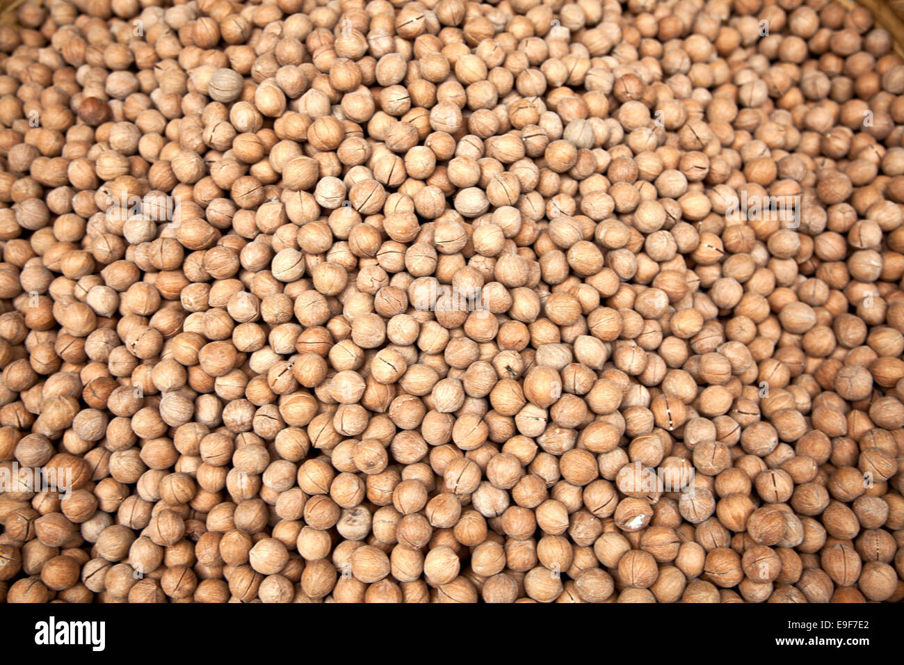 China walnut hi-res stock photography and images - Alamy