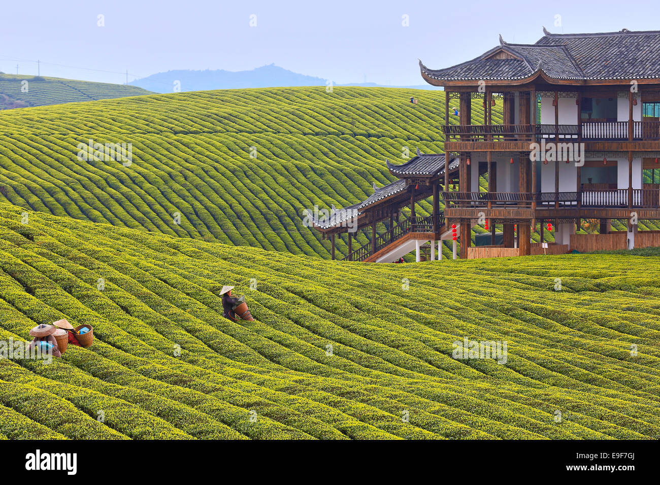 Indigenous people pavilion hi-res stock photography and images - Alamy