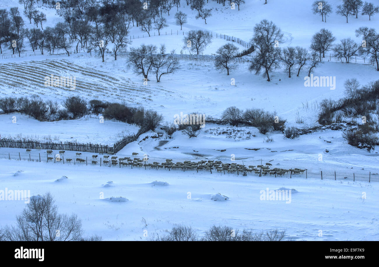 Inner Mongolia dam Snow Stock Photo - Alamy