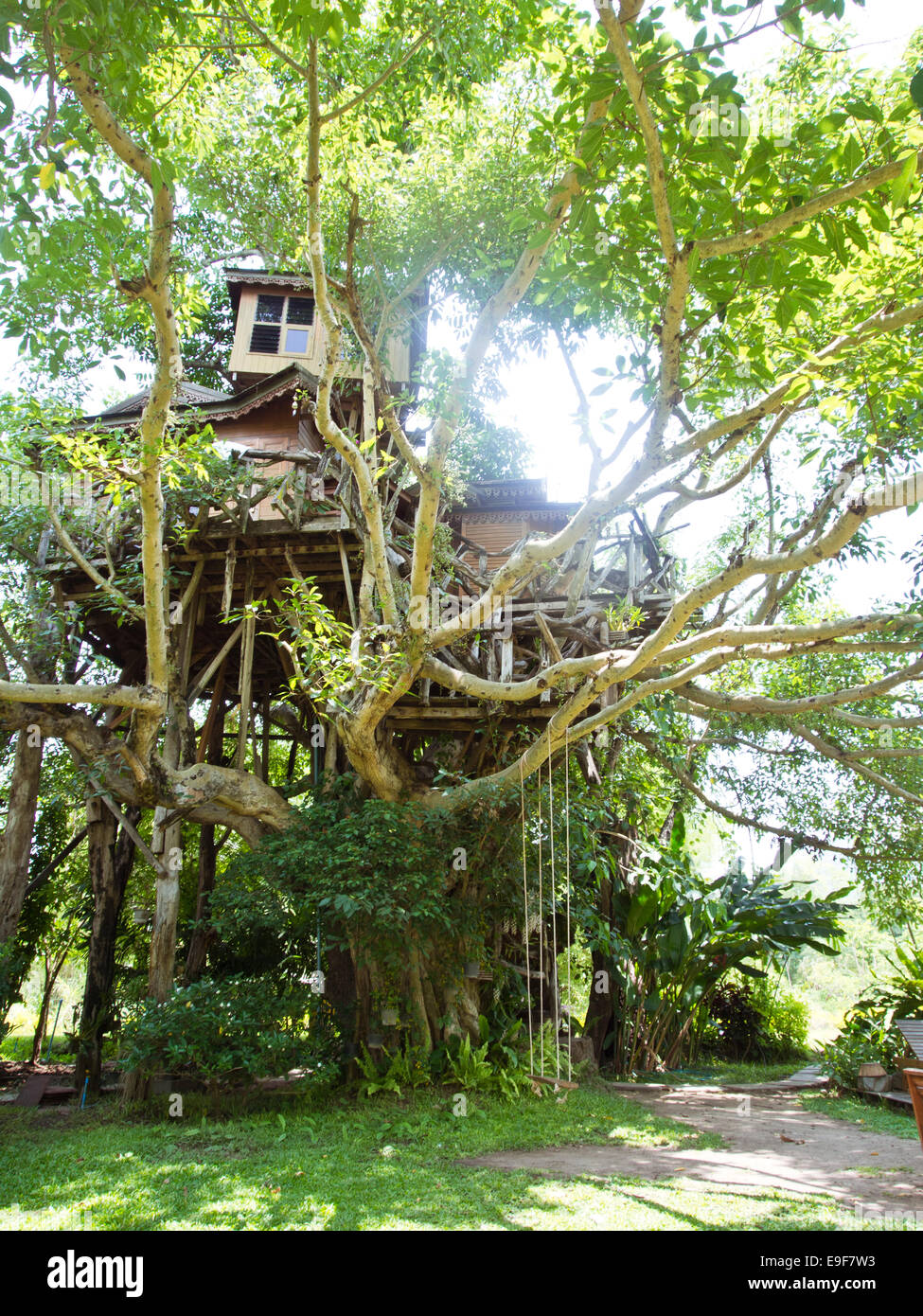 Faction town tree house Stock Photo - Alamy