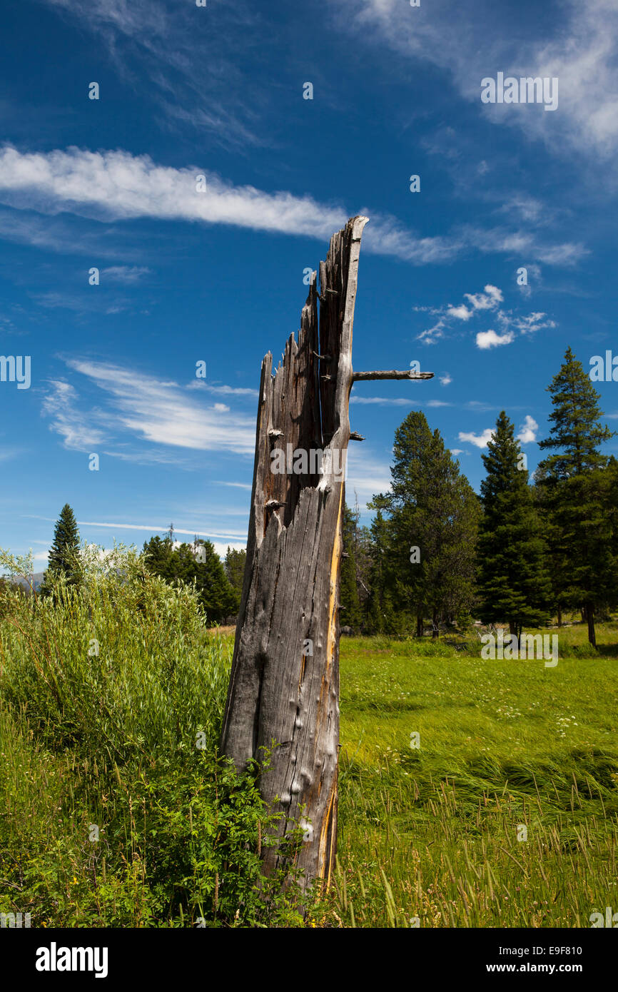 Yellowstone trail hi-res stock photography and images - Alamy