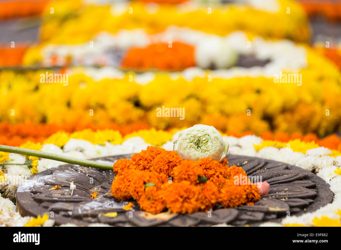 Fpilgrim hi-res stock photography and images - Alamy