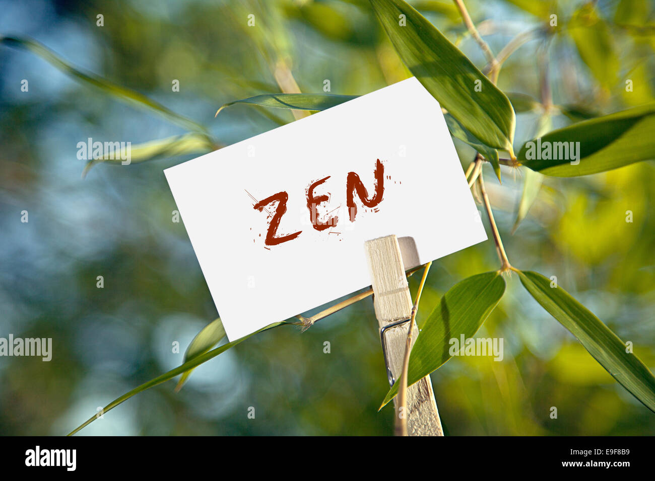 The word Zen attached to bamboo Stock Photo - Alamy