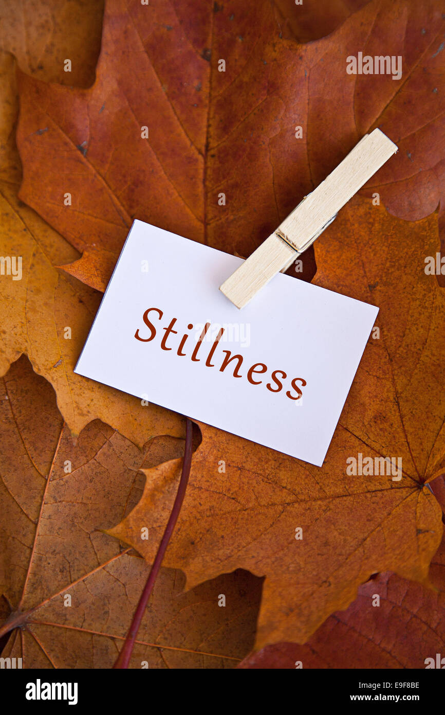 The word Stillness on paper in nature Stock Photo - Alamy