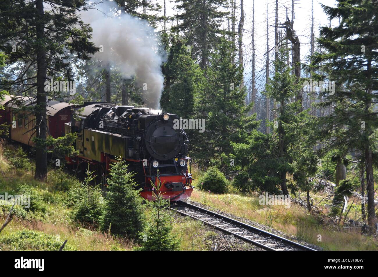 Steam railcar hi-res stock photography and images - Alamy