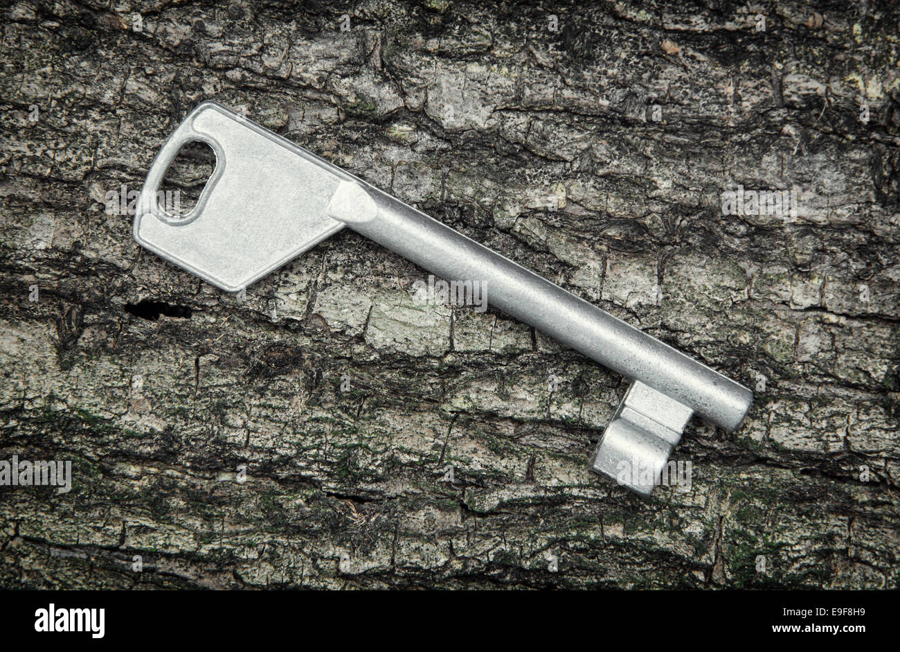 Key on tree bark hi-res stock photography and images - Alamy