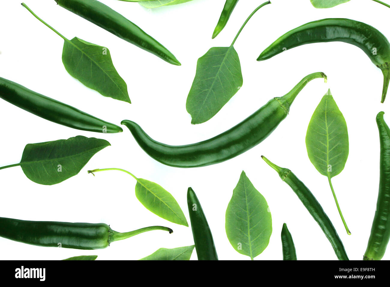Green hot chili Stock Photo - Alamy