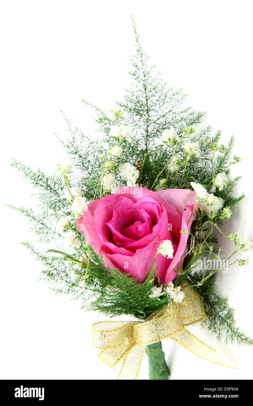 natural pink rose corsage, vertical Stock Photo - Alamy