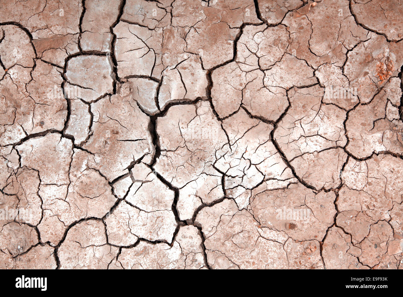 Abandoned terrain wasteland hi-res stock photography and images - Alamy