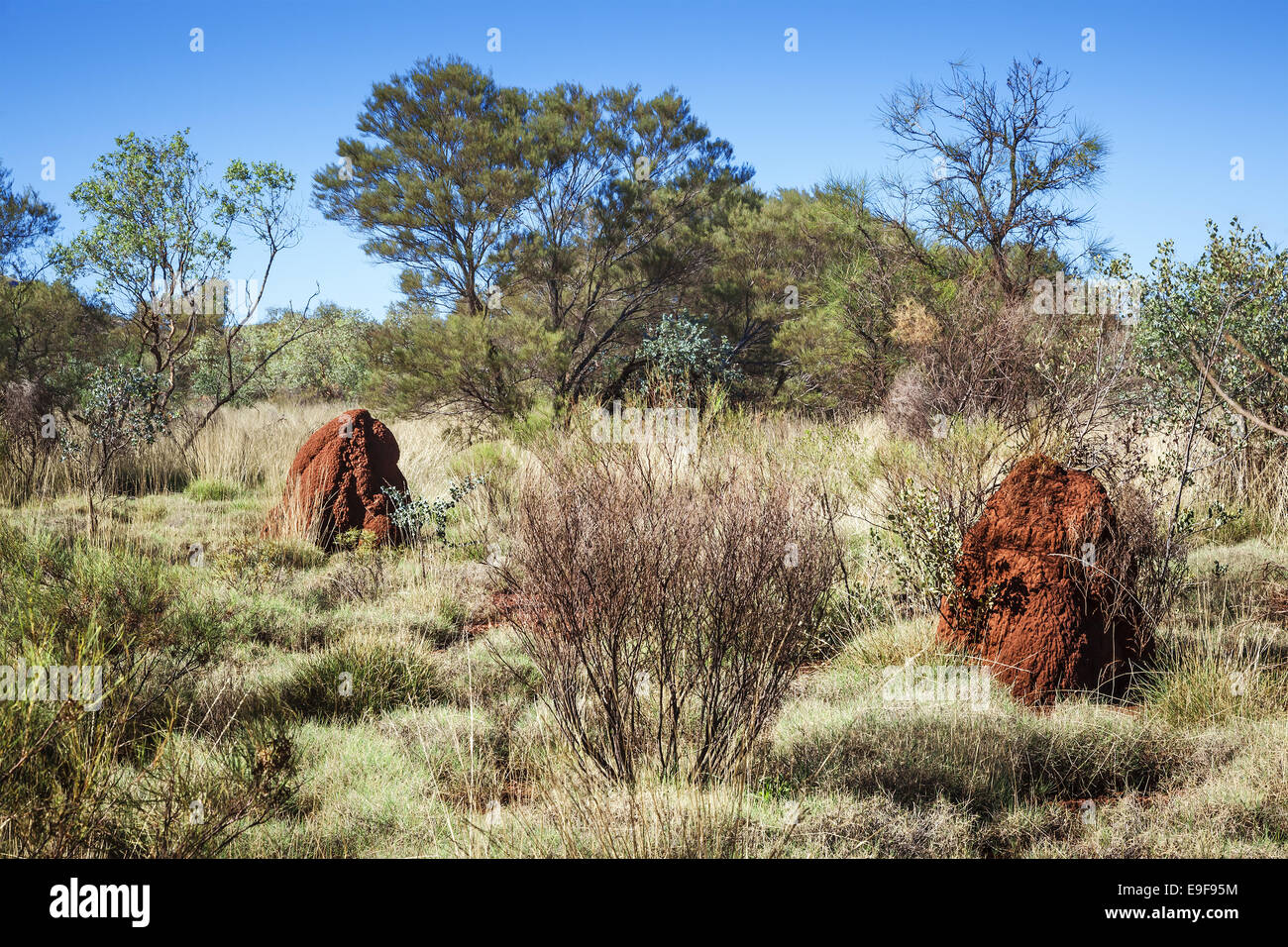 Termite mound building hi-res stock photography and images - Alamy