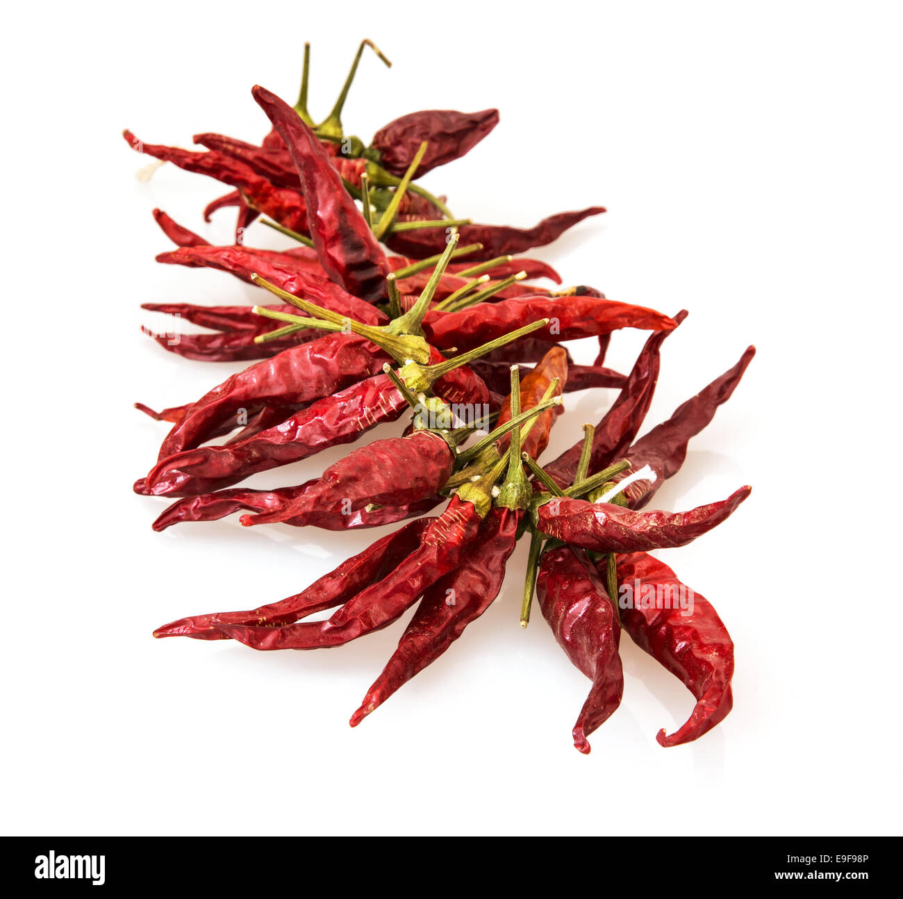 Plant full of chillies hi-res stock photography and images - Alamy