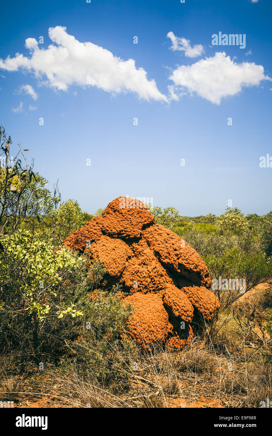 Termite mound home hi-res stock photography and images - Alamy