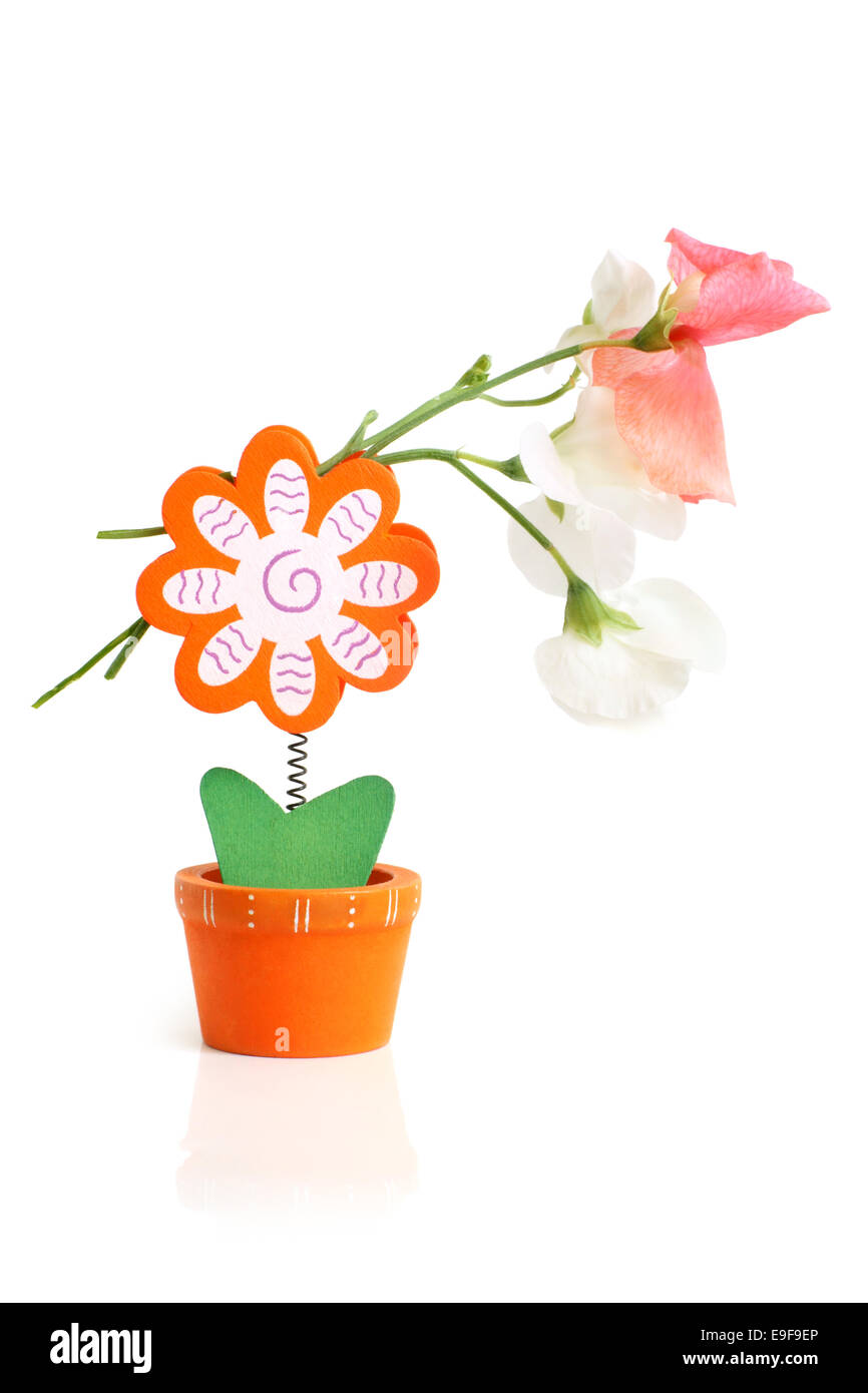 Wooden flower note holder with pea flowers Stock Photo - Alamy