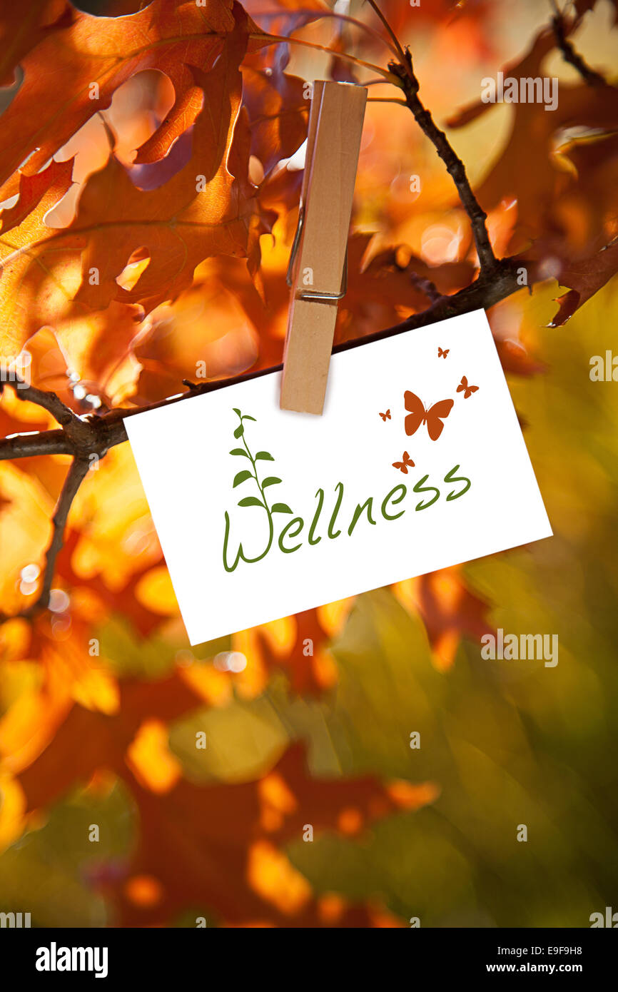 The word Wellness attached to a tree Stock Photo - Alamy