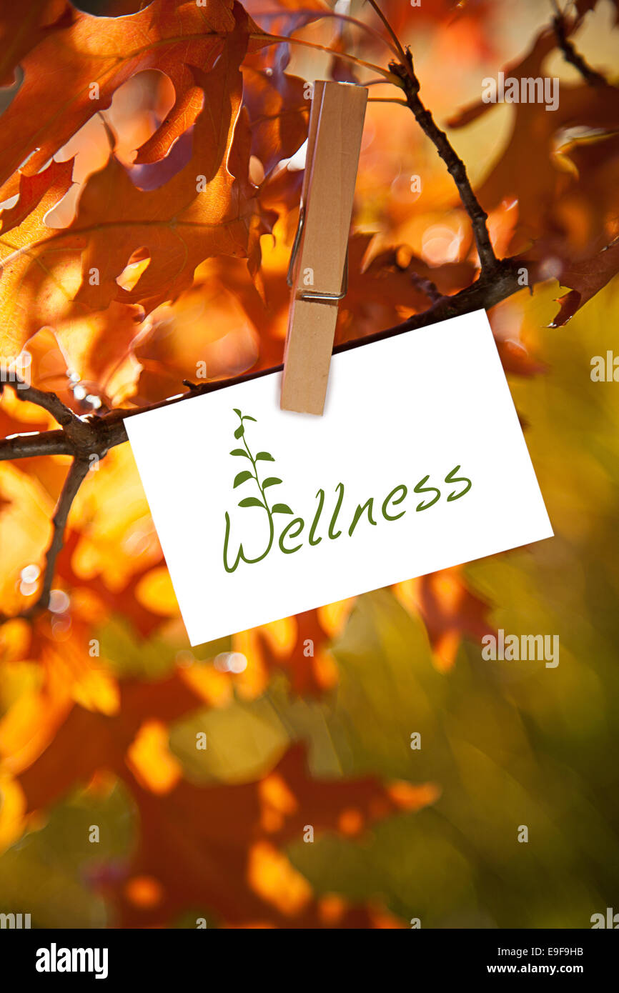 Healthy body balance tree red hi-res stock photography and images - Alamy