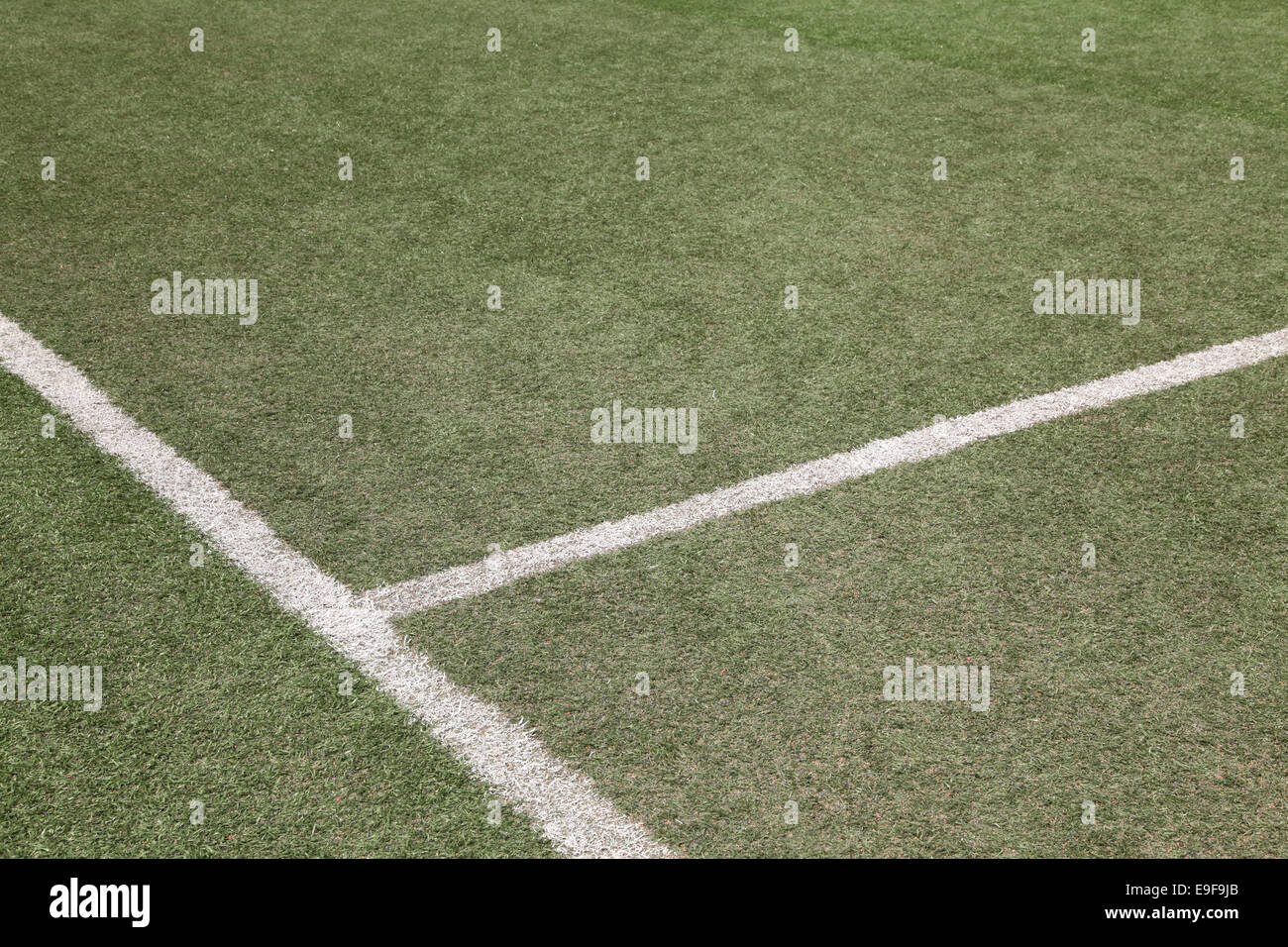 white line on soccer football field Stock Photo - Alamy