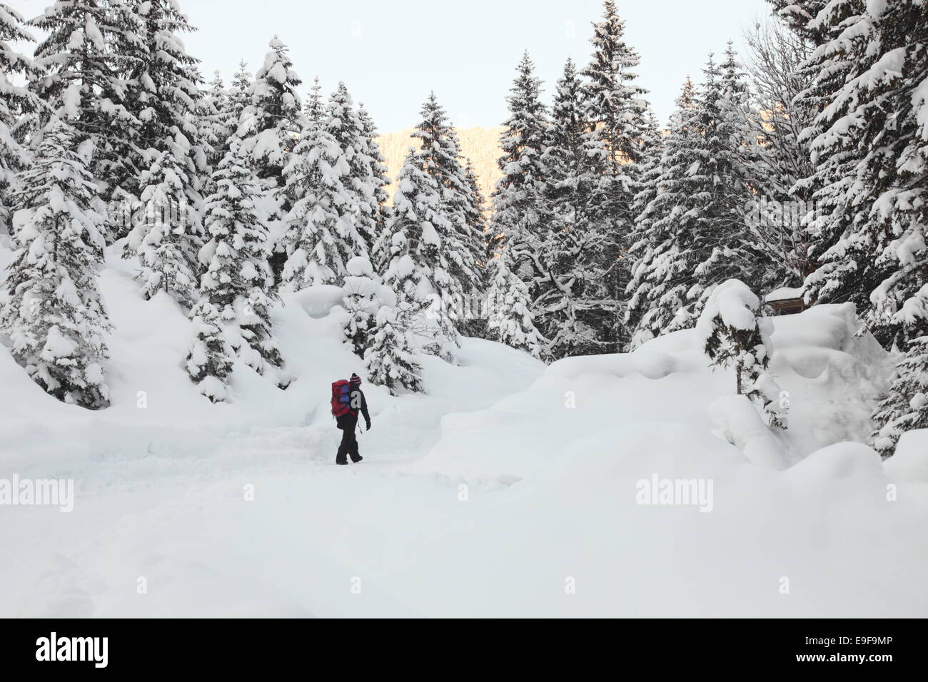 Walking in frost hi-res stock photography and images - Alamy