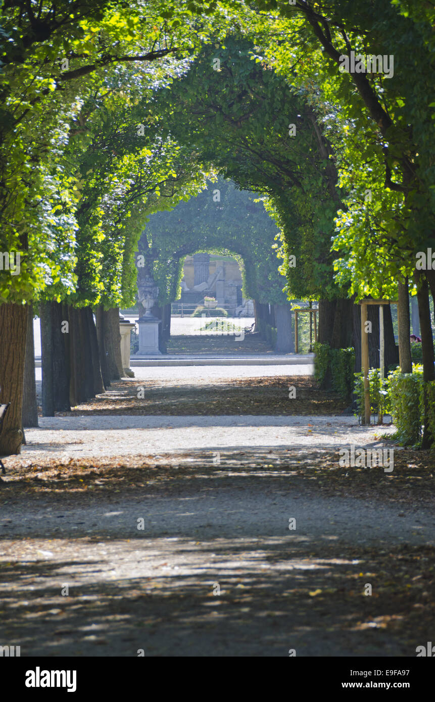 Green tree alley Stock Photo - Alamy