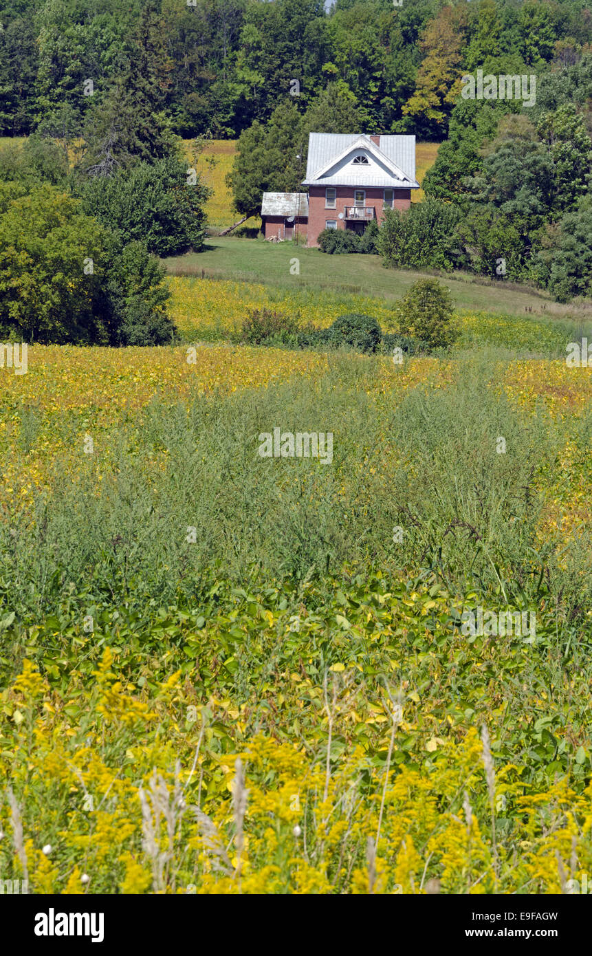 Lonely farm house hi-res stock photography and images - Alamy