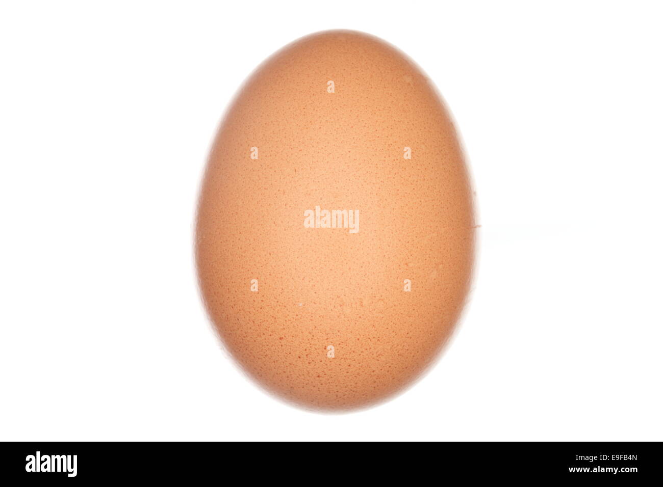 Egg bio Cut Out Stock Images & Pictures - Alamy