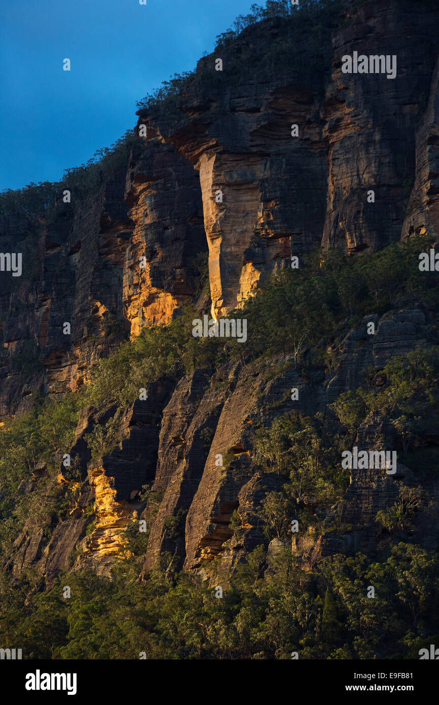 Sandstone escarpment in warm evening sunlight, Wollemi National Park ...