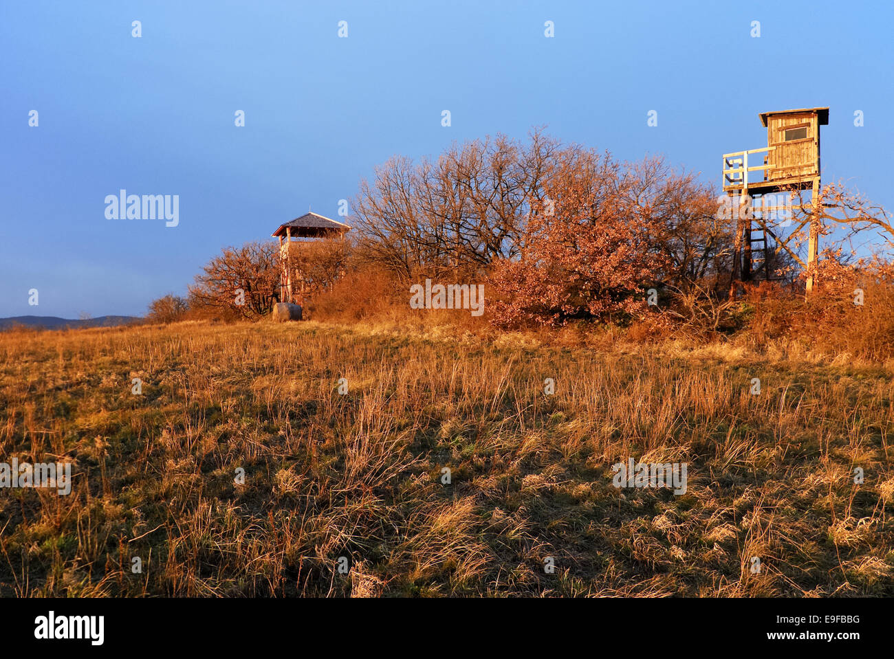 High stand wooden watchtower hi-res stock photography and images - Alamy