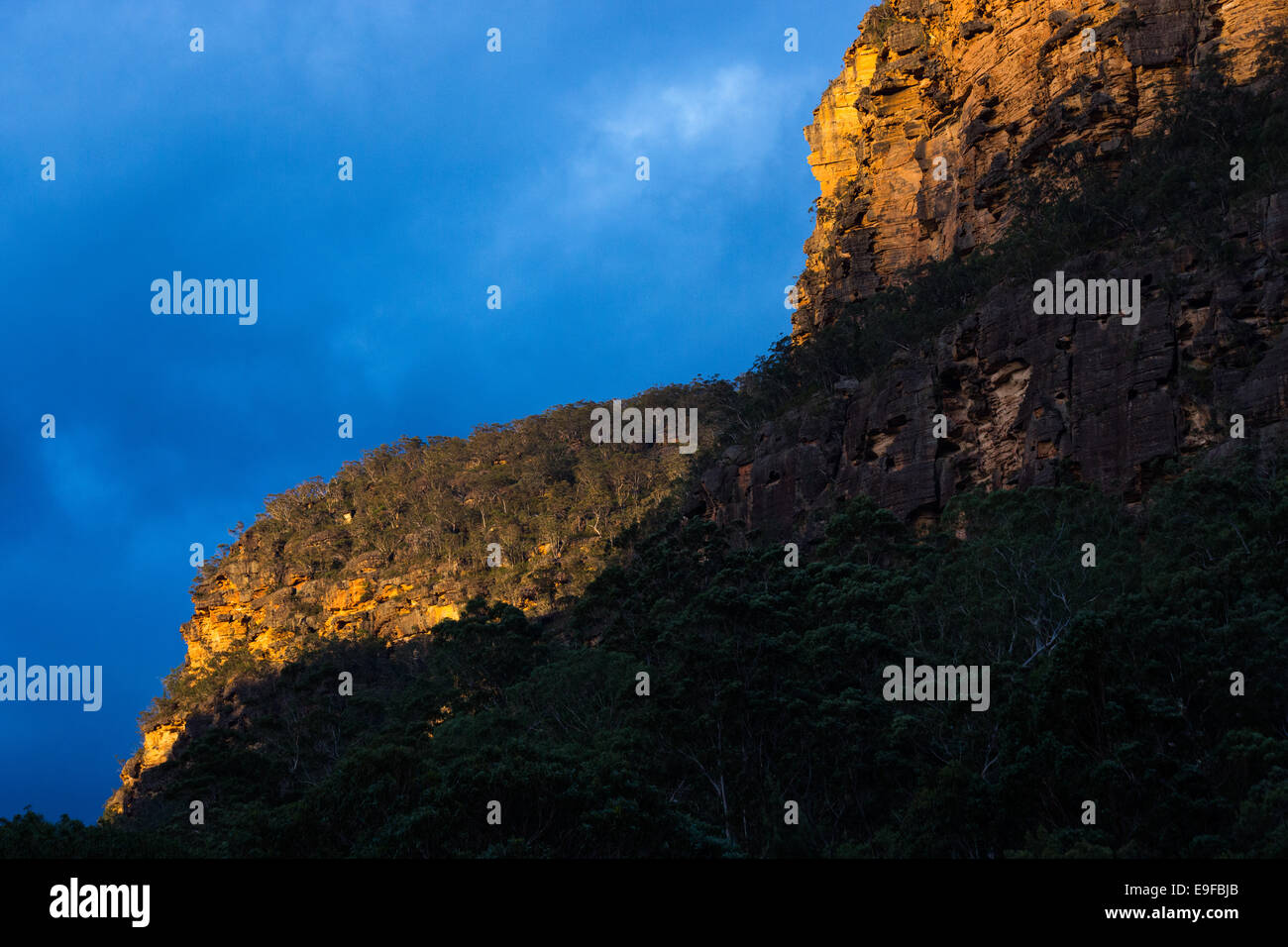 Sandstone escarpment in warm evening sunlight, Wollemi National Park ...